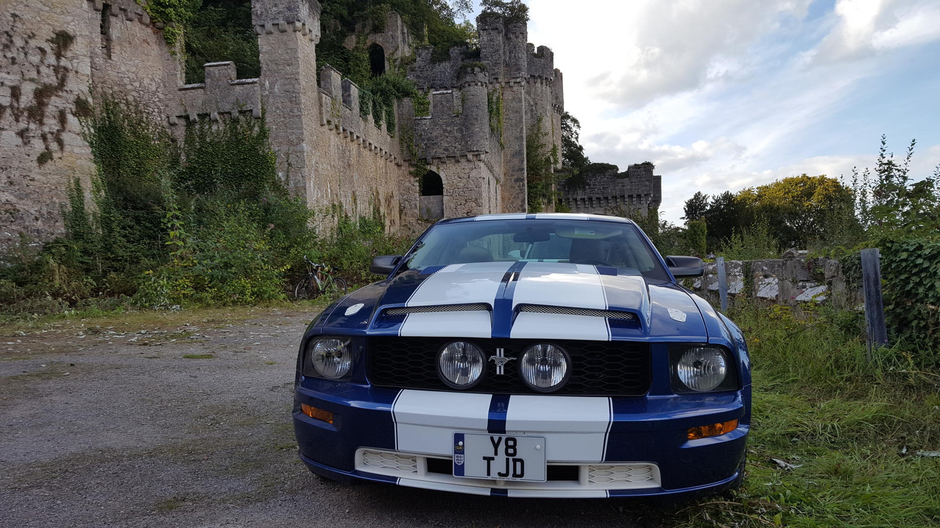 2008 Mustang S197 GT | American DreamsAmerican Dreams